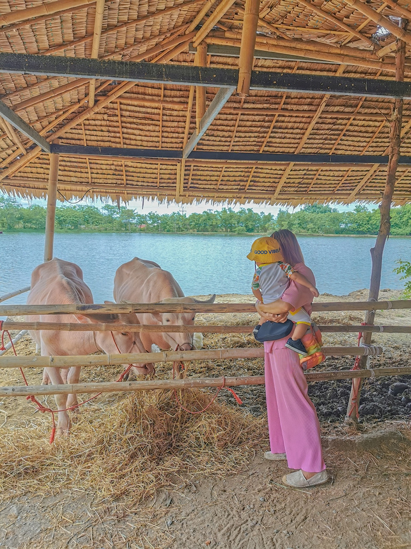 นีโอ ฟาร์ม NEO Farm ที่เที่ยวราชสนุกกิจกรรมมากมาย