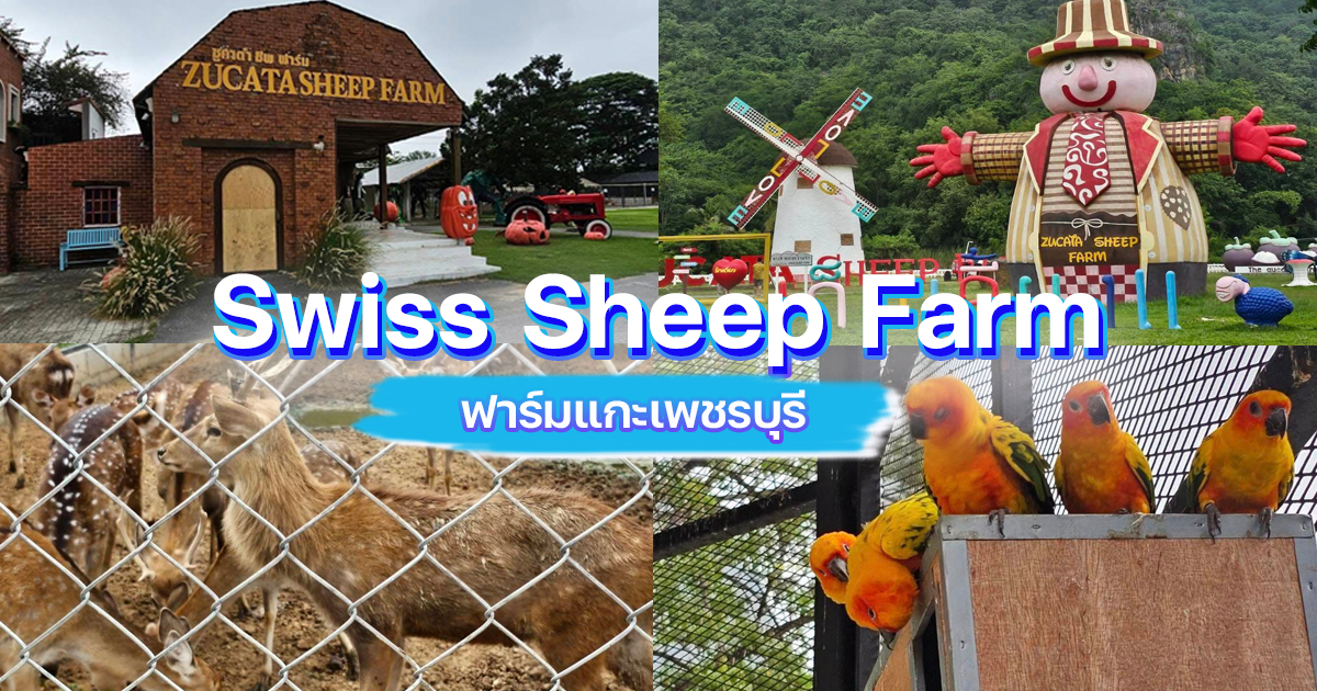 Swiss Sheep Farm ที่เที่ยวเพชรบุรี สไตล์ฟาร์ม