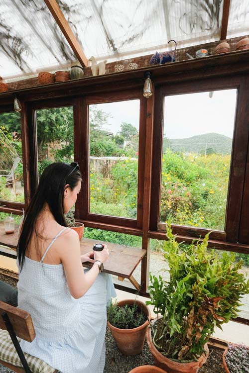 Pranberry Earth คาเฟ่ปราณบุรี แนวเรือนกระจก กลางสวนดอกไม้
