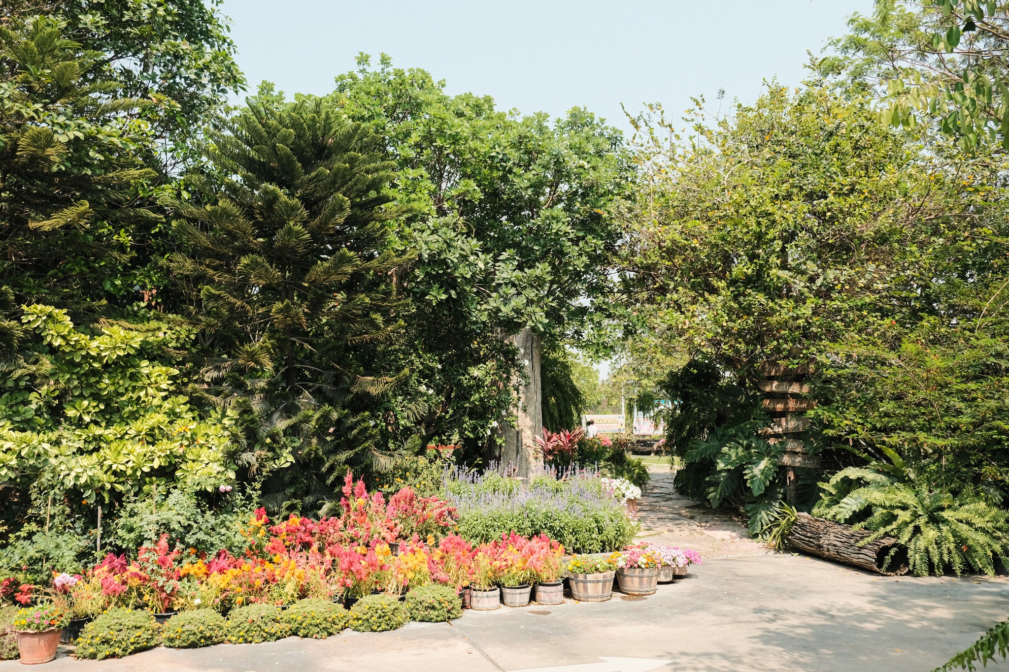 Lifehouse Cafe & Kitchen คาเฟ่ฉะเชิงเทรา บรรยากาศร่มรื่น