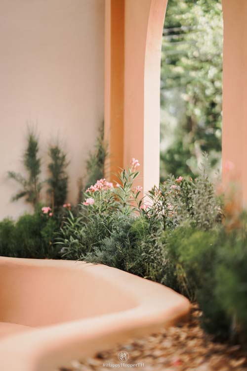 Continue Cafe คาเฟ่สามโคก ที่เที่ยวปทุมธานี บรรยากาศน่ารัก