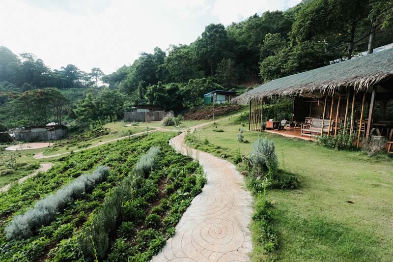 Mori Natural Farm เชียงใหม่ ที่พักแบบฟาร์มสเตย์สไตล์ญี่ปุ่น