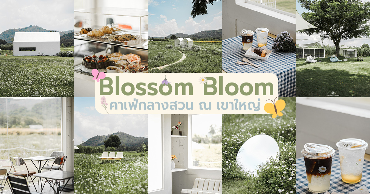 Blossom Bloom คาเฟ่เขาใหญ่ กลางสวนสวย ๆ