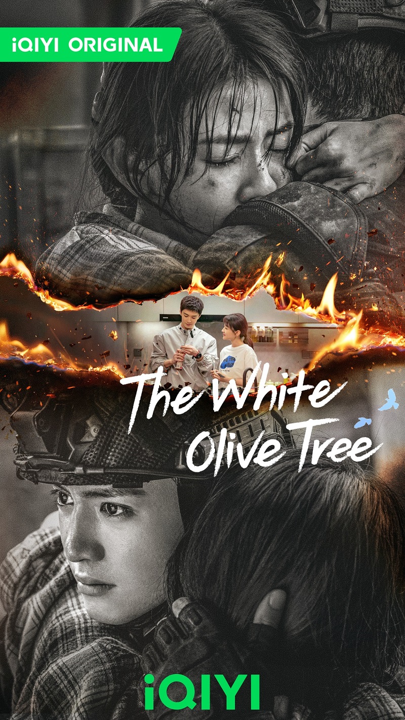 เรื่องย่อ ปลูกรักพักใจใต้ต้นมะกอกขาว The White Olive Tree