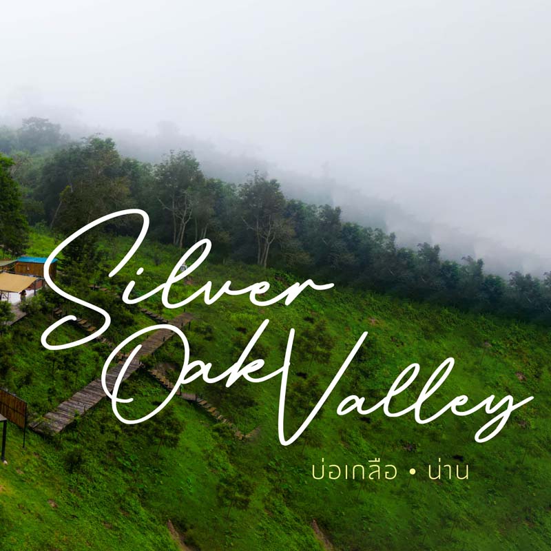 Silver Oak Valley ที่พักบ่อเกลือ จังหวัดน่าน