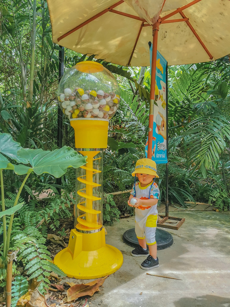 นีโอ ฟาร์ม NEO Farm ที่เที่ยวราชสนุกกิจกรรมมากมาย