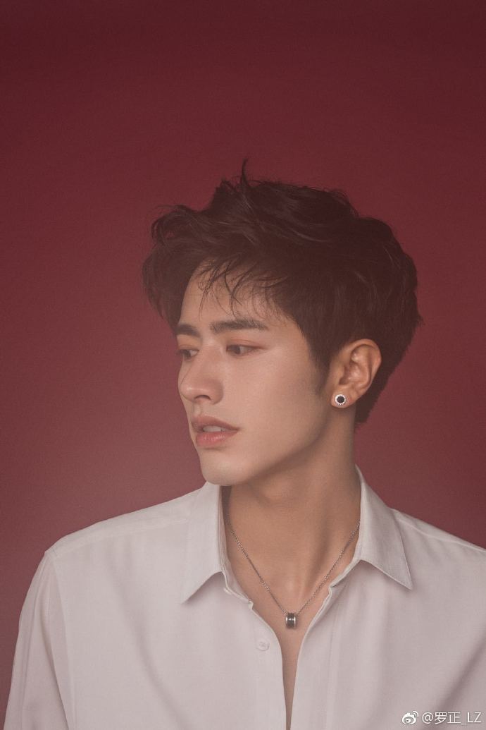 หลัวเจิ้ง ประวัติและผลงาน Luo Zheng ไอดอลจีนและพระเอกซีรี่ย์จีน