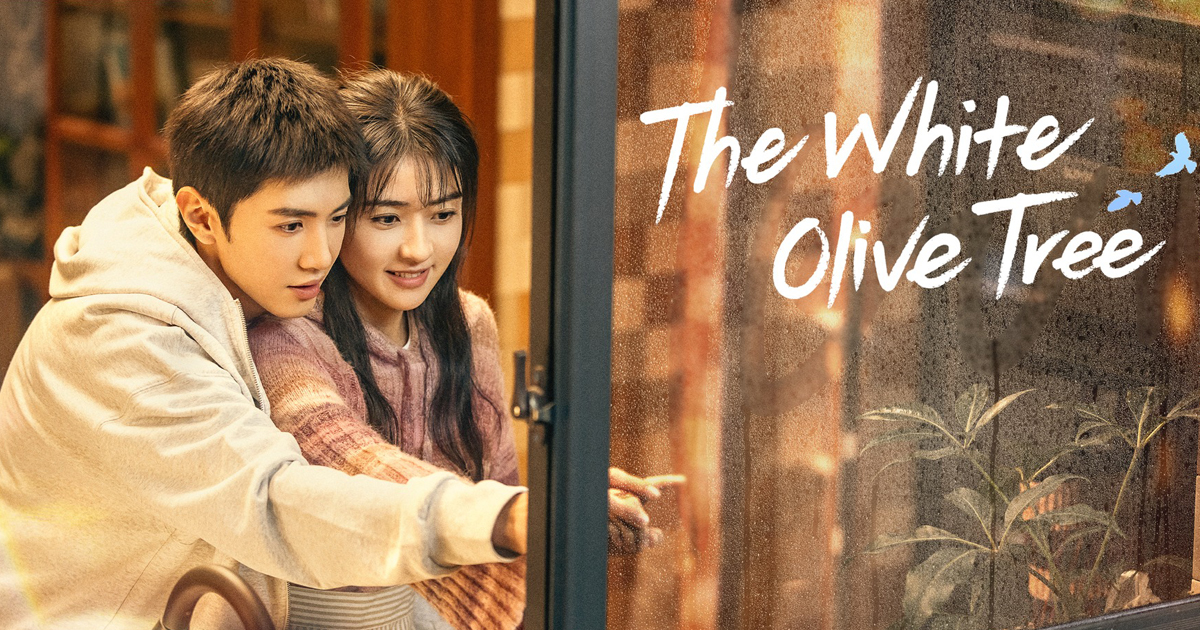 เรื่องย่อ ปลูกรักพักใจใต้ต้นมะกอกขาว The White Olive Tree