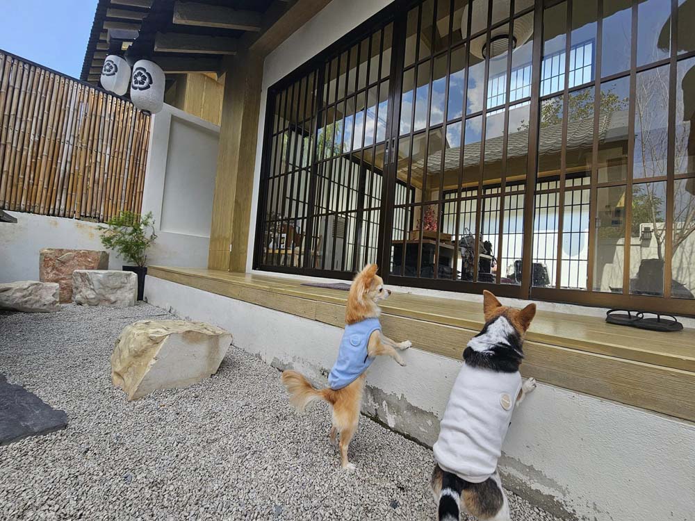 MASA Pool Villa พูลวิลล่าสัตหีบ สไตล์เรียวกังที่เป็น Pet Friendly