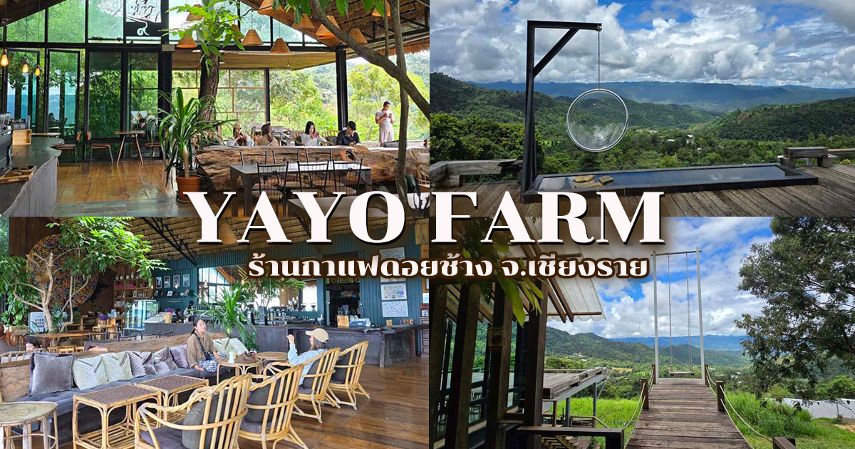 YAYO FARM ร้านกาแฟดอยช้าง ที่เที่ยวเชียงราย