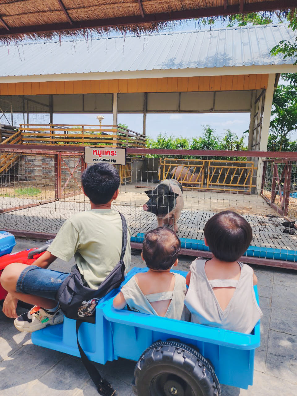 MooMaa Farm Cafe คาเฟ่ท่าม่วง กาญจนบุรี สไตล์โรงนา