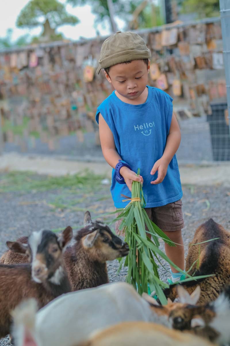 A Cup of Zoo Café คาเฟ่และMini zoo Exotic