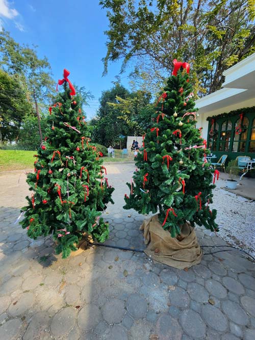 Phli Cafe (ผลิ) คาเฟ่เชียงใหม่ ตกแต่งธีมคริสต์มาสน่ารัก ๆ