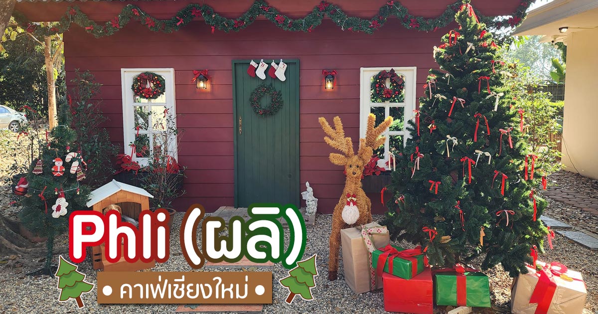 Phli Cafe (ผลิ) คาเฟ่เชียงใหม่ ตกแต่งธีมคริสต์มาสน่ารัก ๆ