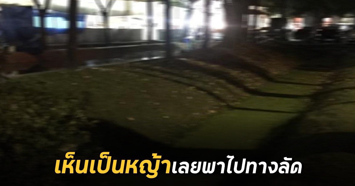 แวบแรกคิดว่าเป็นหญ้า เลยพาไปทางลัด ผลปรากฏว่า... งานนี้มีฮา