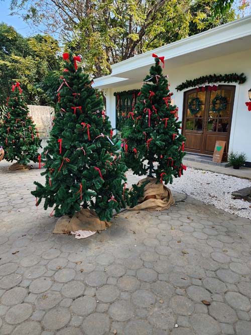 Phli Cafe (ผลิ) คาเฟ่เชียงใหม่ ตกแต่งธีมคริสต์มาสน่ารัก ๆ