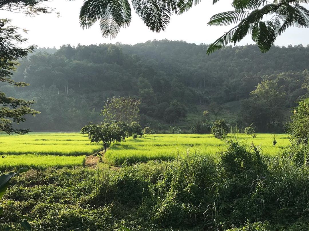 Sirin Farm ฟาร์มของสงกรานต์ กระจ่างเนตร์ สามี แหม่ม คัทลียา หลังถูกฟ้อง ...