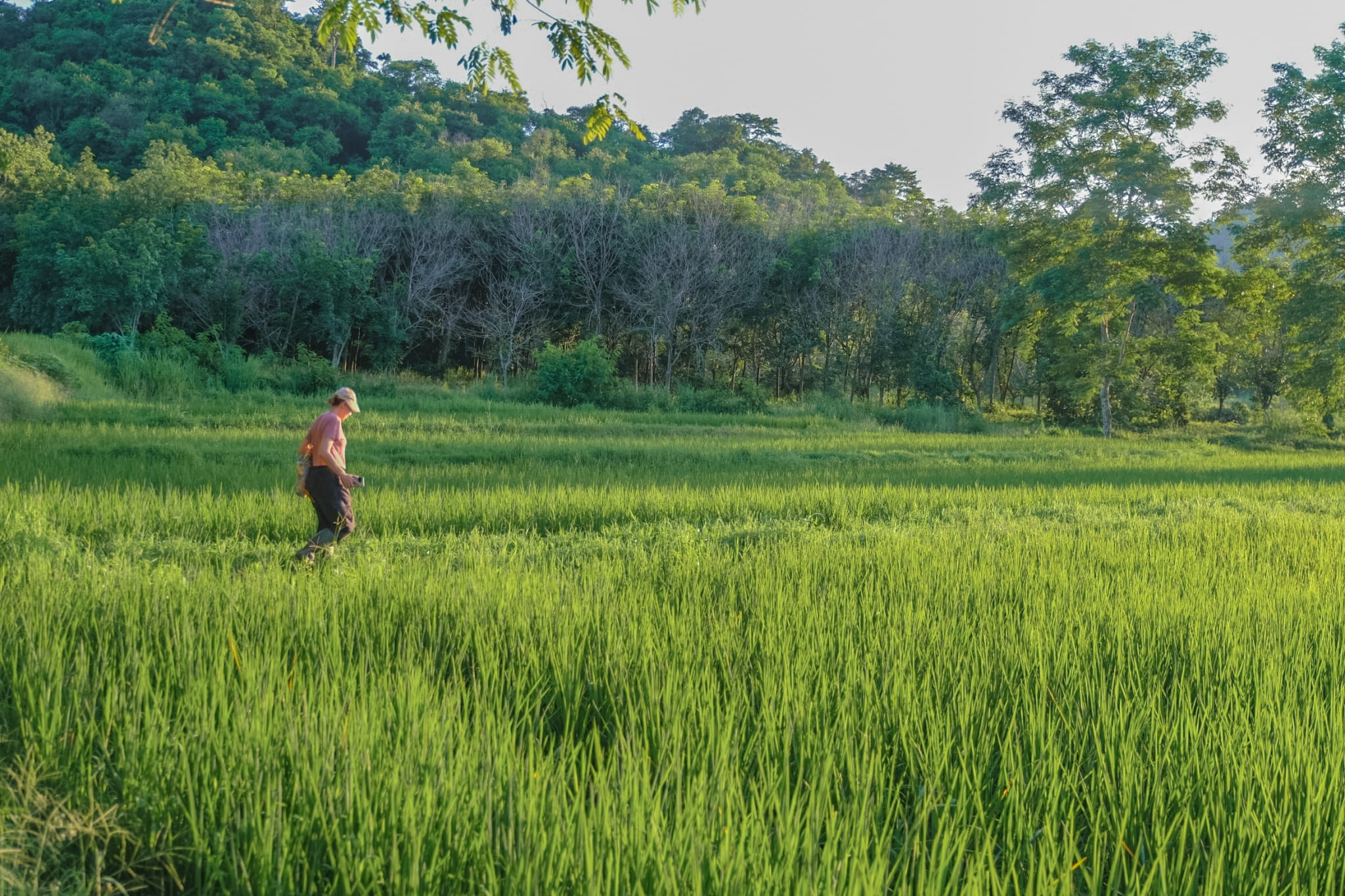 บ้านไร่ลุงคริส ที่เที่ยวสระบุรี พาลูกเที่ยว Uncle Chris Farm สนุกกับกิจกรรมมากมาย