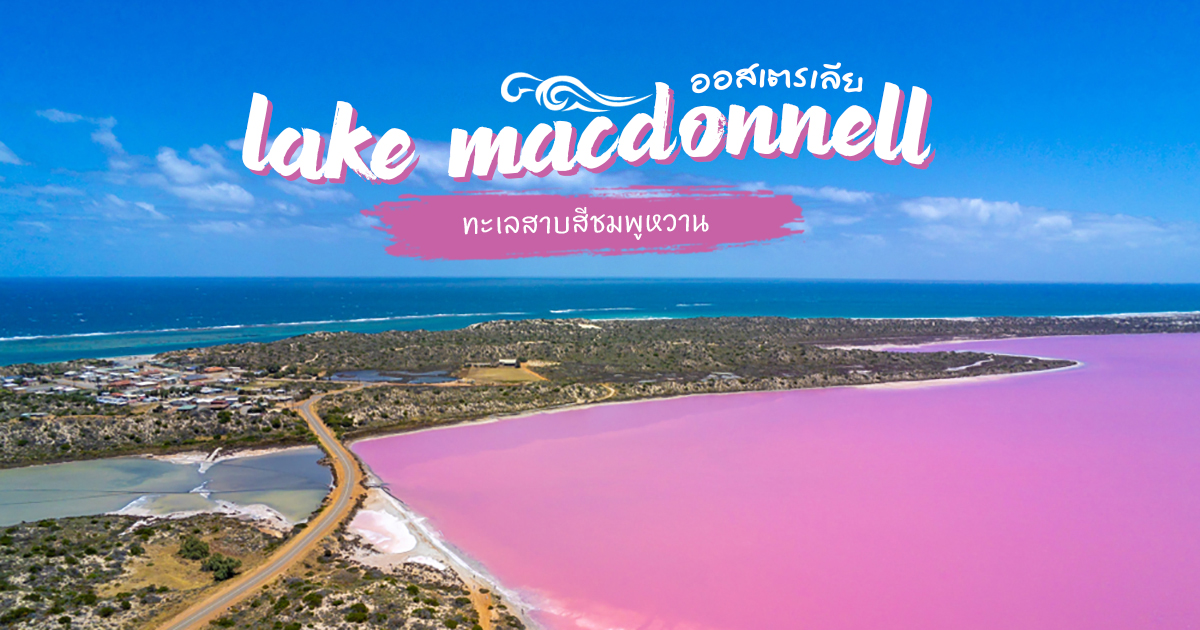 Lake MacDonnell มหัศจรรย์แสนหวานจากธรรมชาติ ทะเลสาบสีชมพูที่ออสเตรเลีย