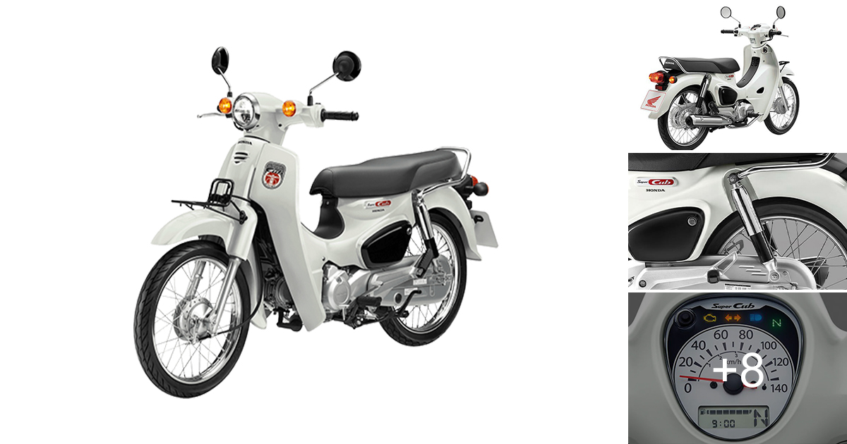 Honda Super Cub 2023 ราคา 47400 บาท รถมอเตอร์ไซค์ครอบครัวดีไซน์เรโทร ...