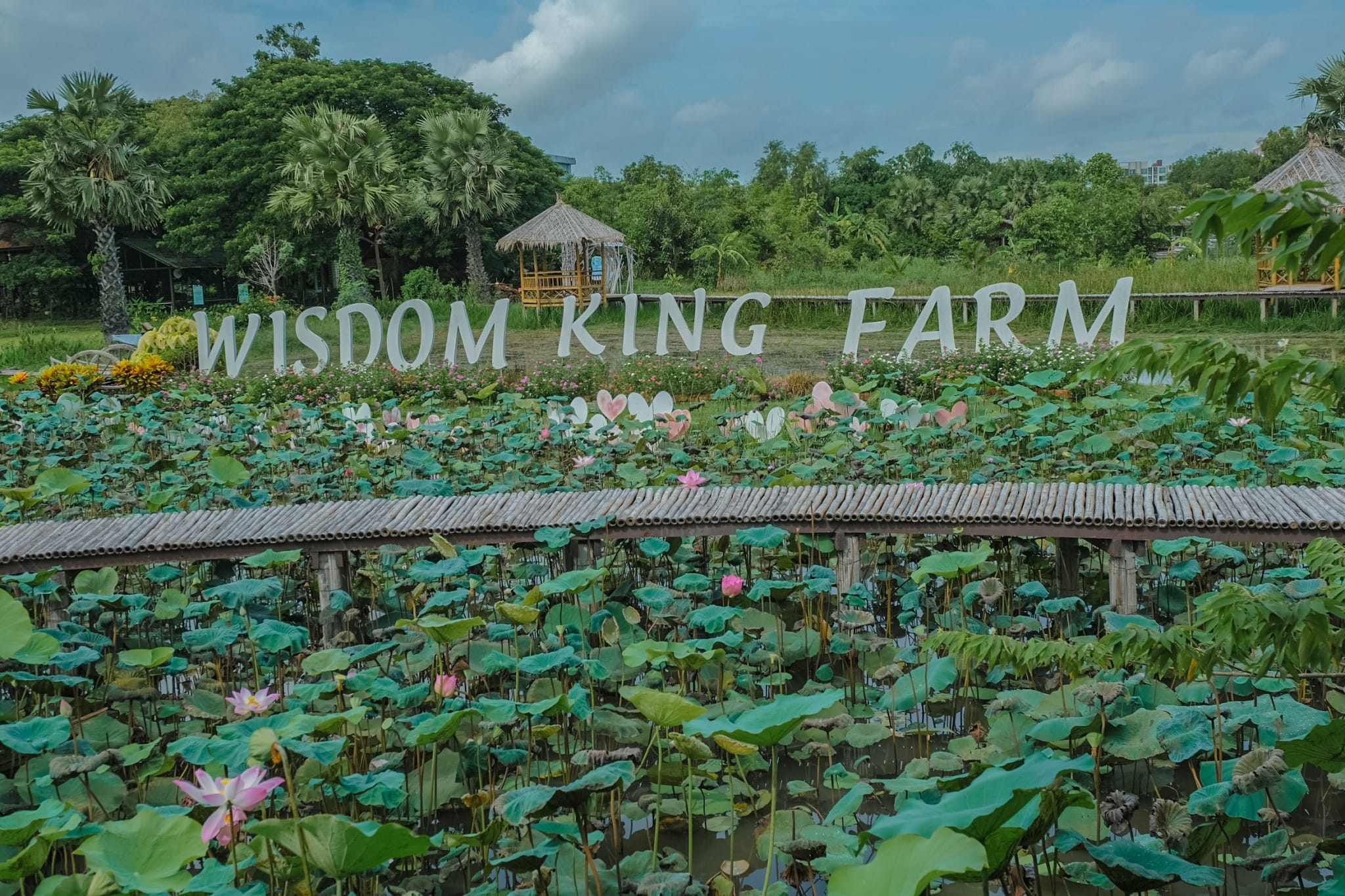 Wisdom King Farm คาเฟ่ปทุมธานี พิพิธภัณฑ์การเกษตรเฉลิมพระเกียรติ