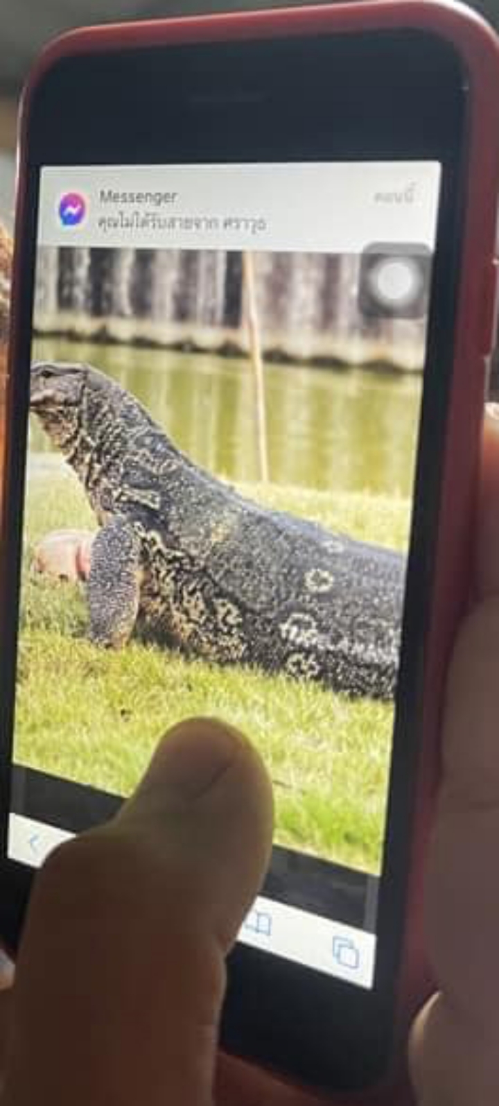 ซื้อหนังปลาทอดกรอบจากร้าน ว่าแต่... ทำไมหนังปลามันดูแปลก ๆ