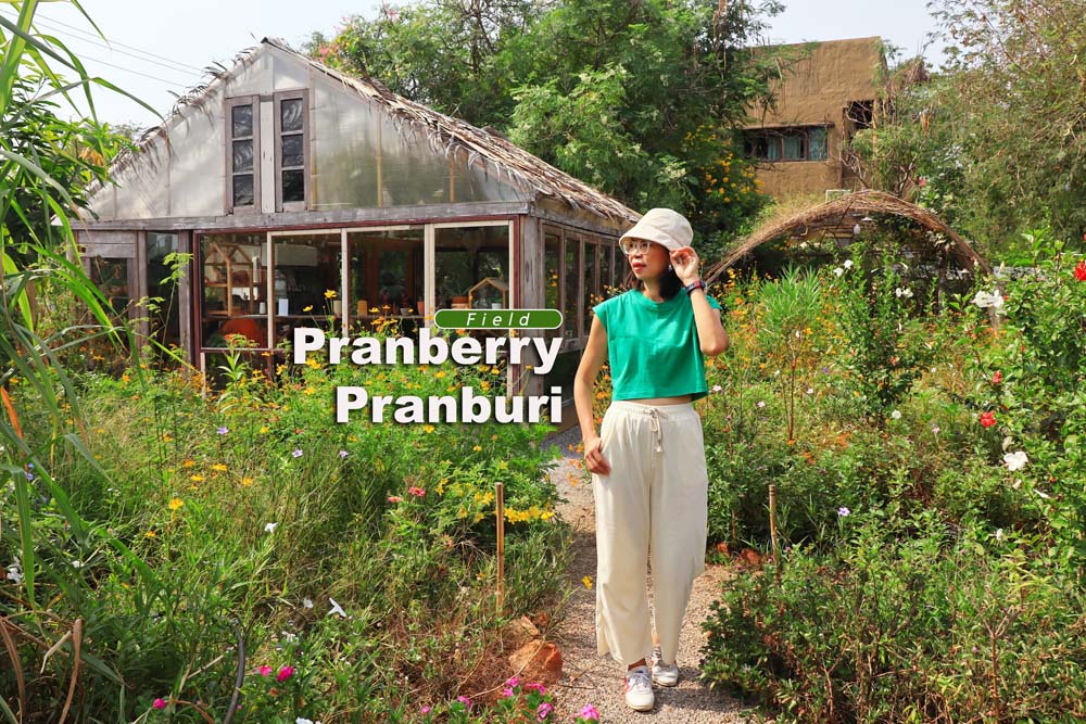 Pranberry ปราณเบอรี ฟาร์มคาเฟ่ปราณบุรีสุดคิวท์