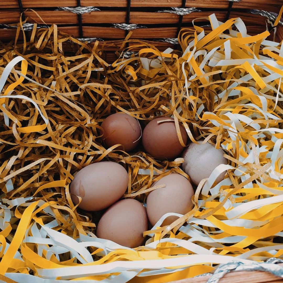 เปา เปาวลี กับไร่นาสวนผสม มีทั้งฟาร์มไก่และไร่ข้าว