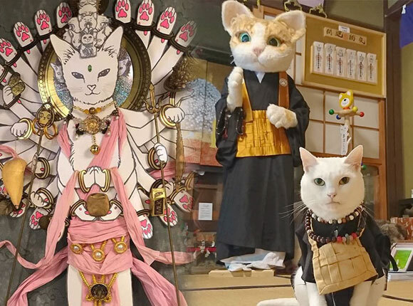 ความคิดเห็น พาชม Nyan Nyan Ji ศาลเจ้าแมว ณ เกียวโต ประเทศญี่ปุ่น ที่มี ...