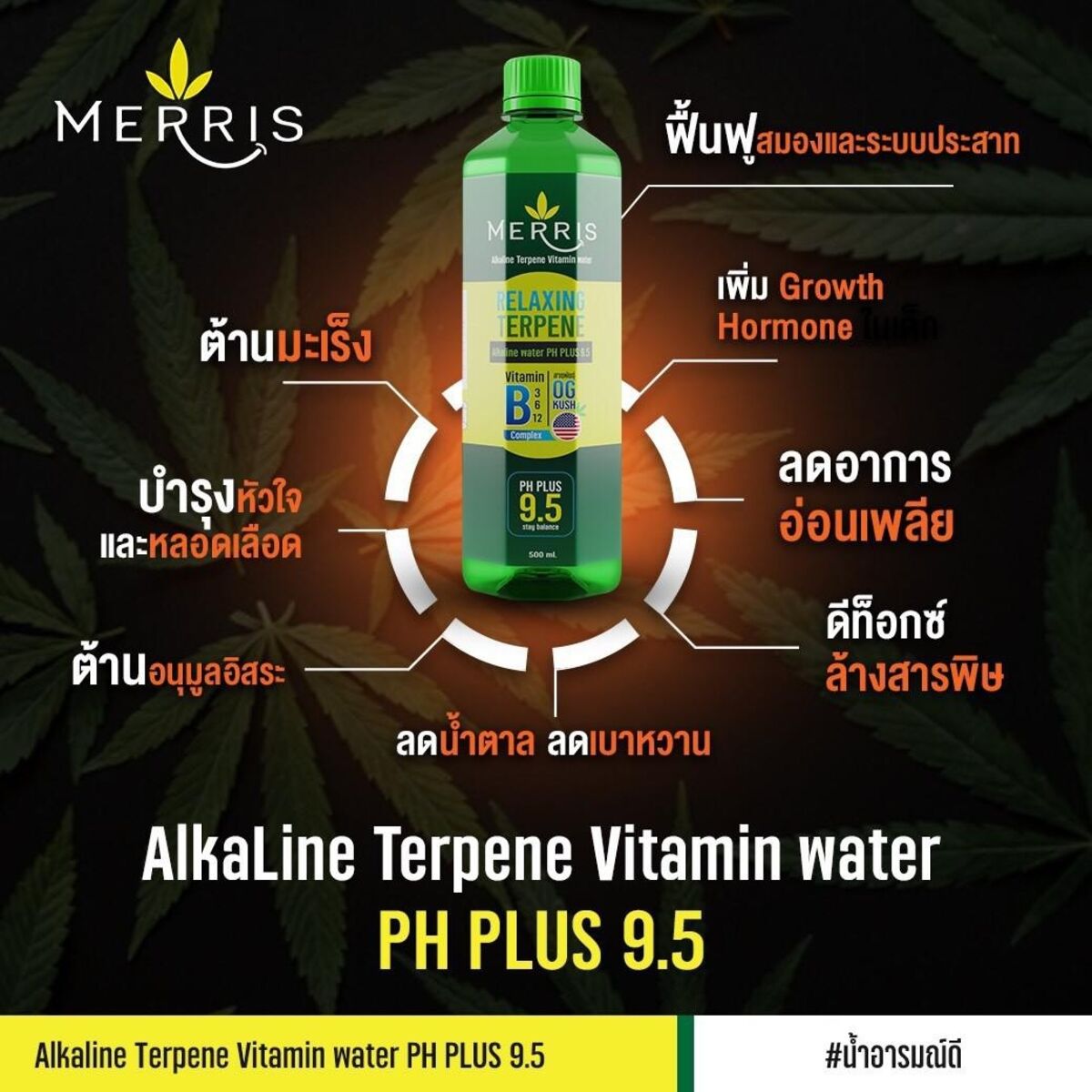 MERRIS ตัวแทนรายใหญ่ 99nin โทร0989015469