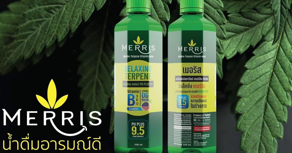 MERRIS ตัวแทนรายใหญ่ 99nin โทร0989015469
