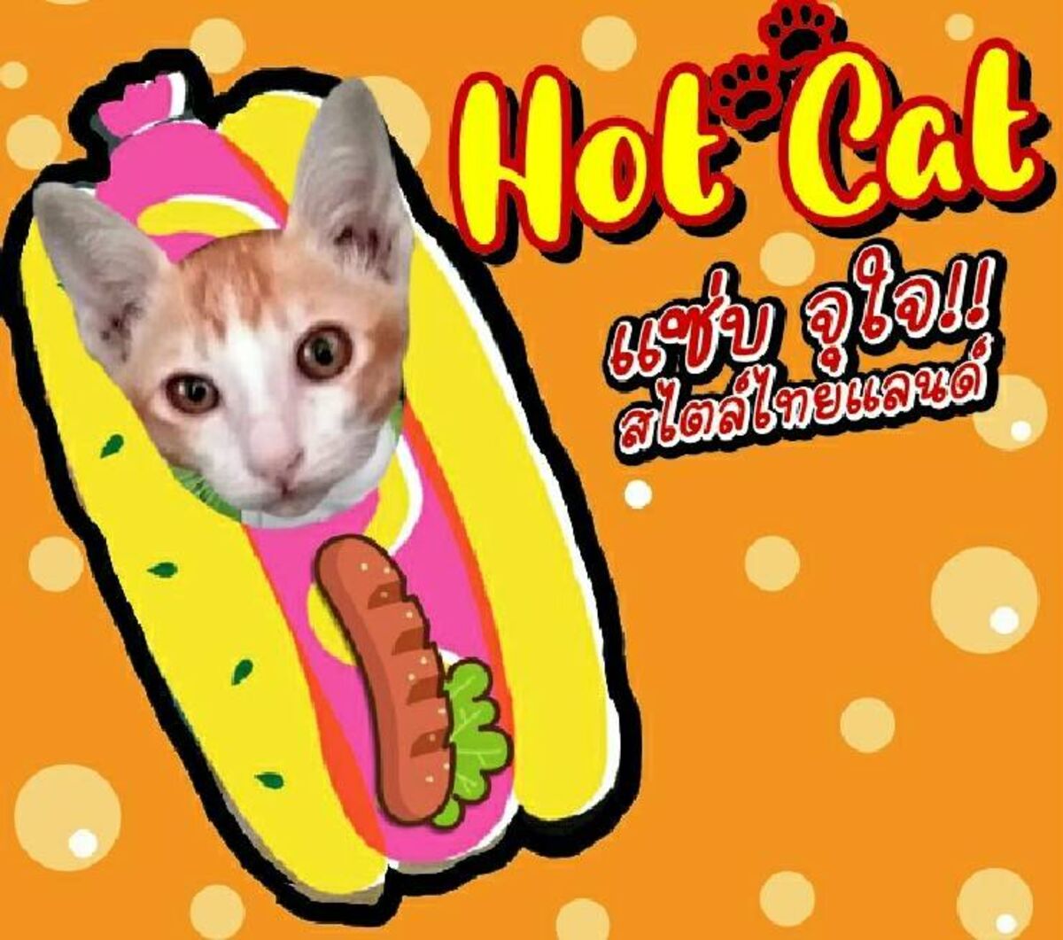Hot Cat ปัง ใหญ่ ยาว
