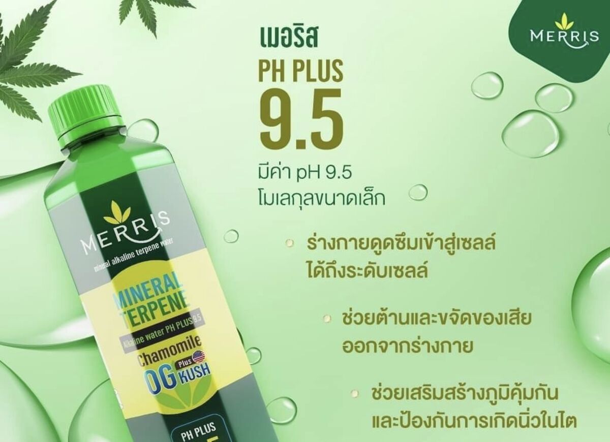 Merris น้ำดื่มอารมณ์ดี สำนักงานกรุงเทพ