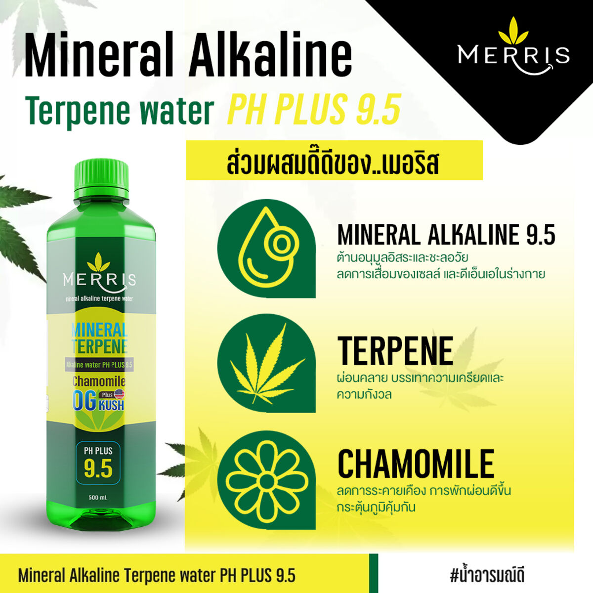 MERRIS ตัวแทนรายใหญ่ 99nin โทร0989015469