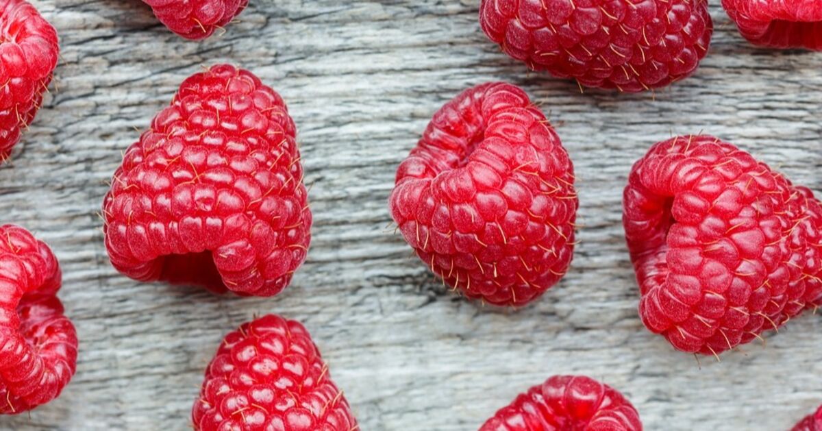 6 Radeberry Red Raspberries Nutrition Facts Benefits and More