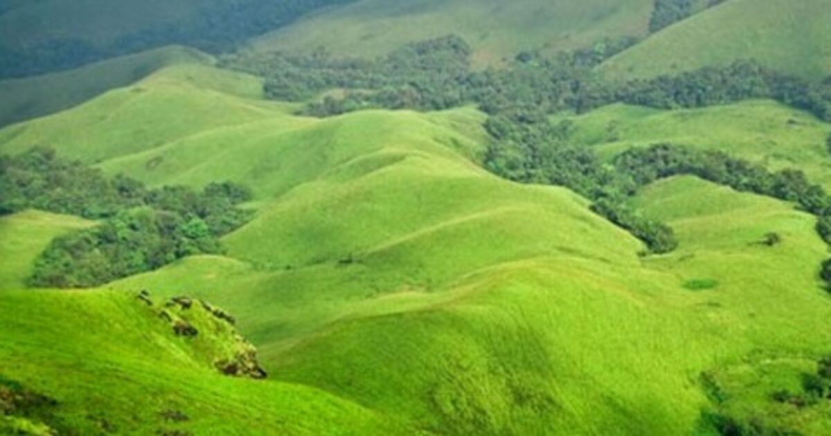 mandalpatti coorg