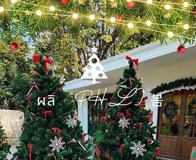 Phli Cafe (ผลิ) คาเฟ่เชียงใหม่ ตกแต่งธีมคริสต์มาสน่ารัก ๆ