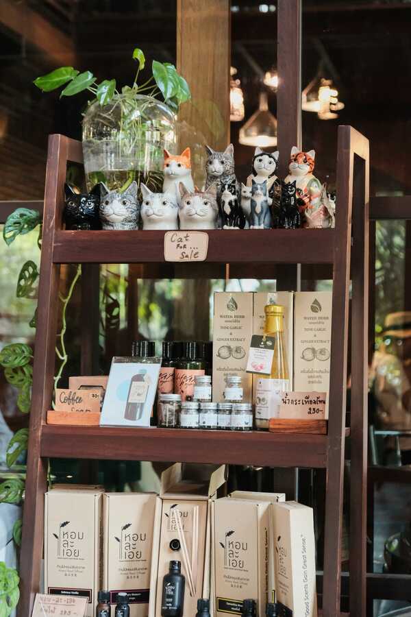 Lifehouse Cafe & Kitchen คาเฟ่ฉะเชิงเทรา บรรยากาศร่มรื่น